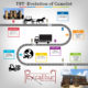 The Evolution of Camelot 3PL Software
